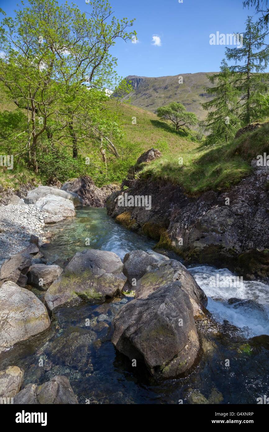 Ritson's force hi-res stock photography and images - Alamy