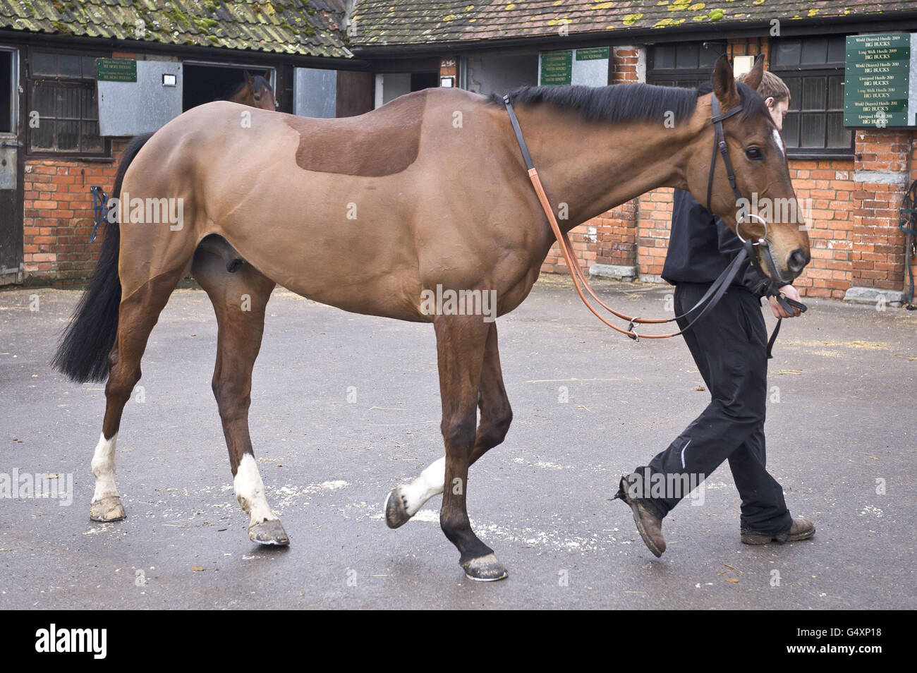 Horse racing paul nicholls stables visit manor farm stables hi-res ...
