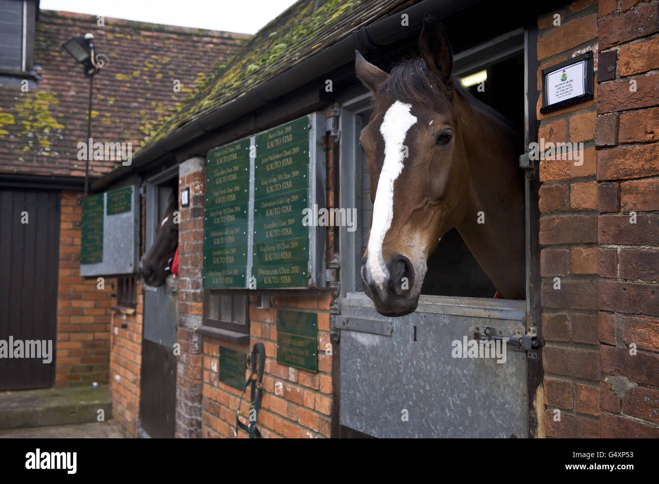 Horse Racing - Paul Nicholls Stables Visit - Manor Farm. Kuato Star ...
