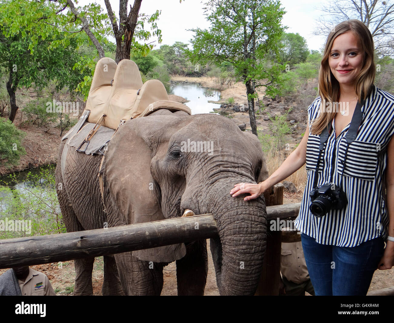 Zimbabwe, Matabeleland North, Hwange, Victoria Falls National Park ...