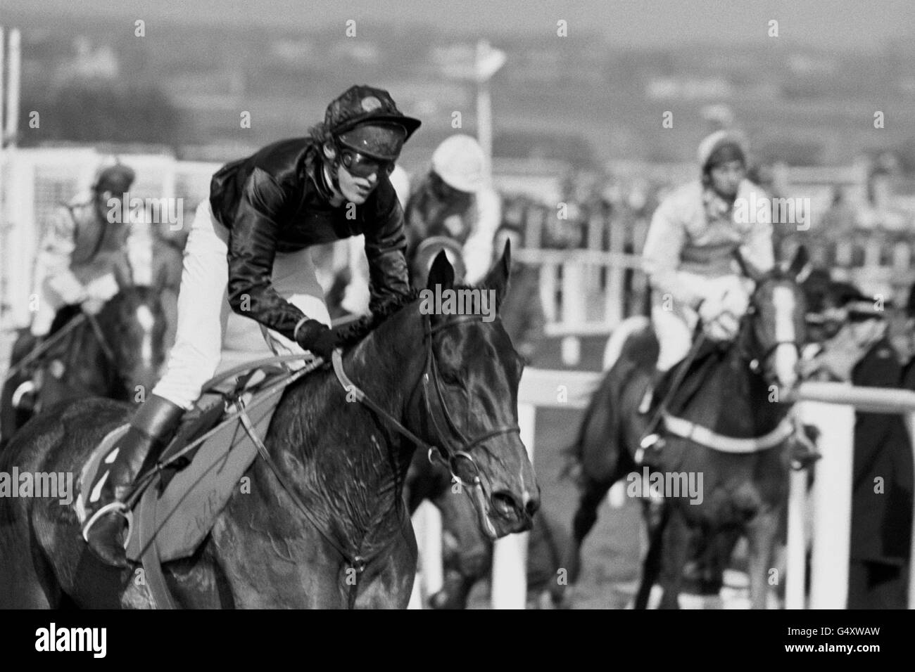 Hallo Dandy Grand National Stock Photo - Alamy