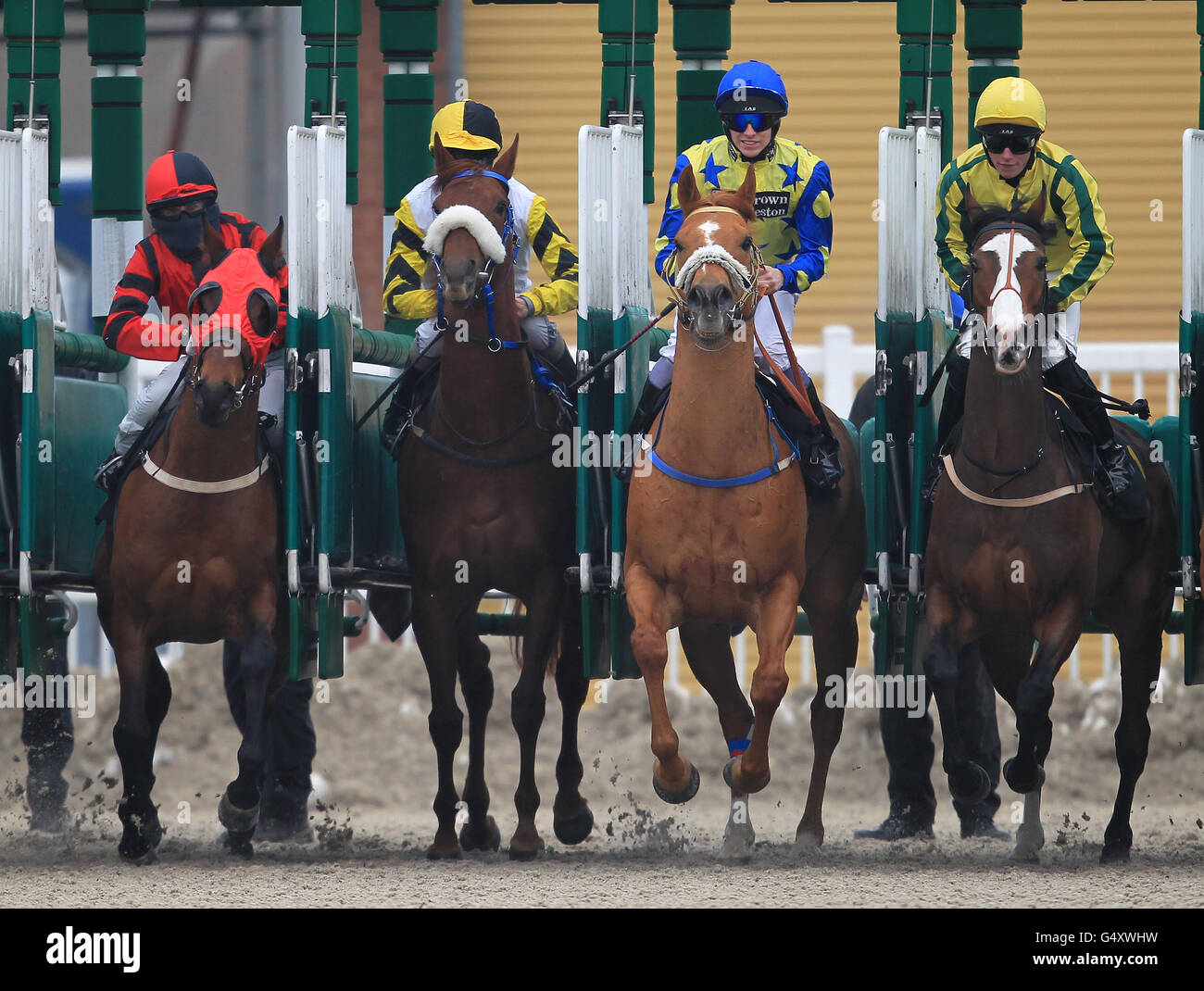 Race horses in stalls hi-res stock photography and images - Alamy