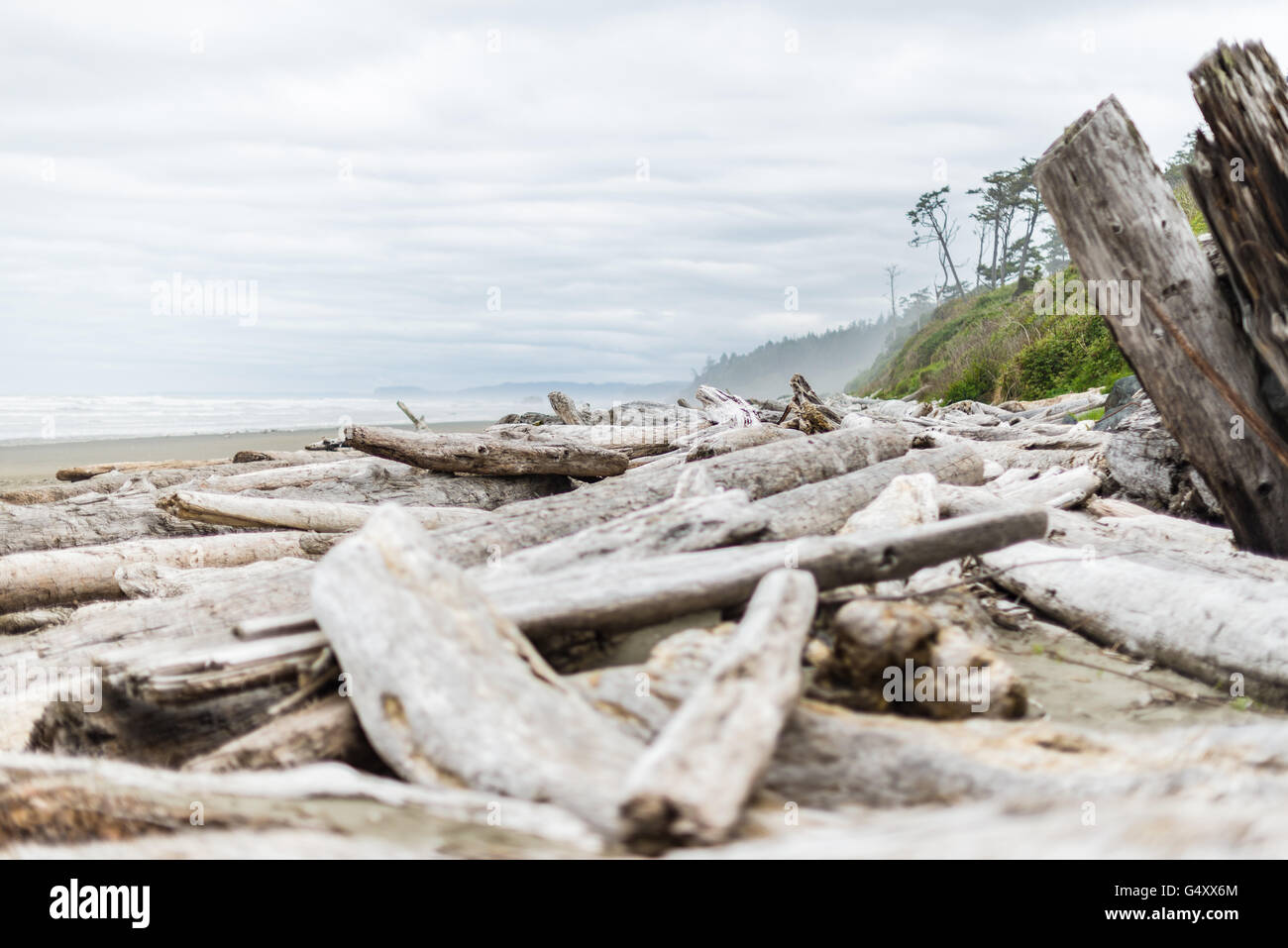 Lonely natural beach with tree trunk hi-res stock photography and ...