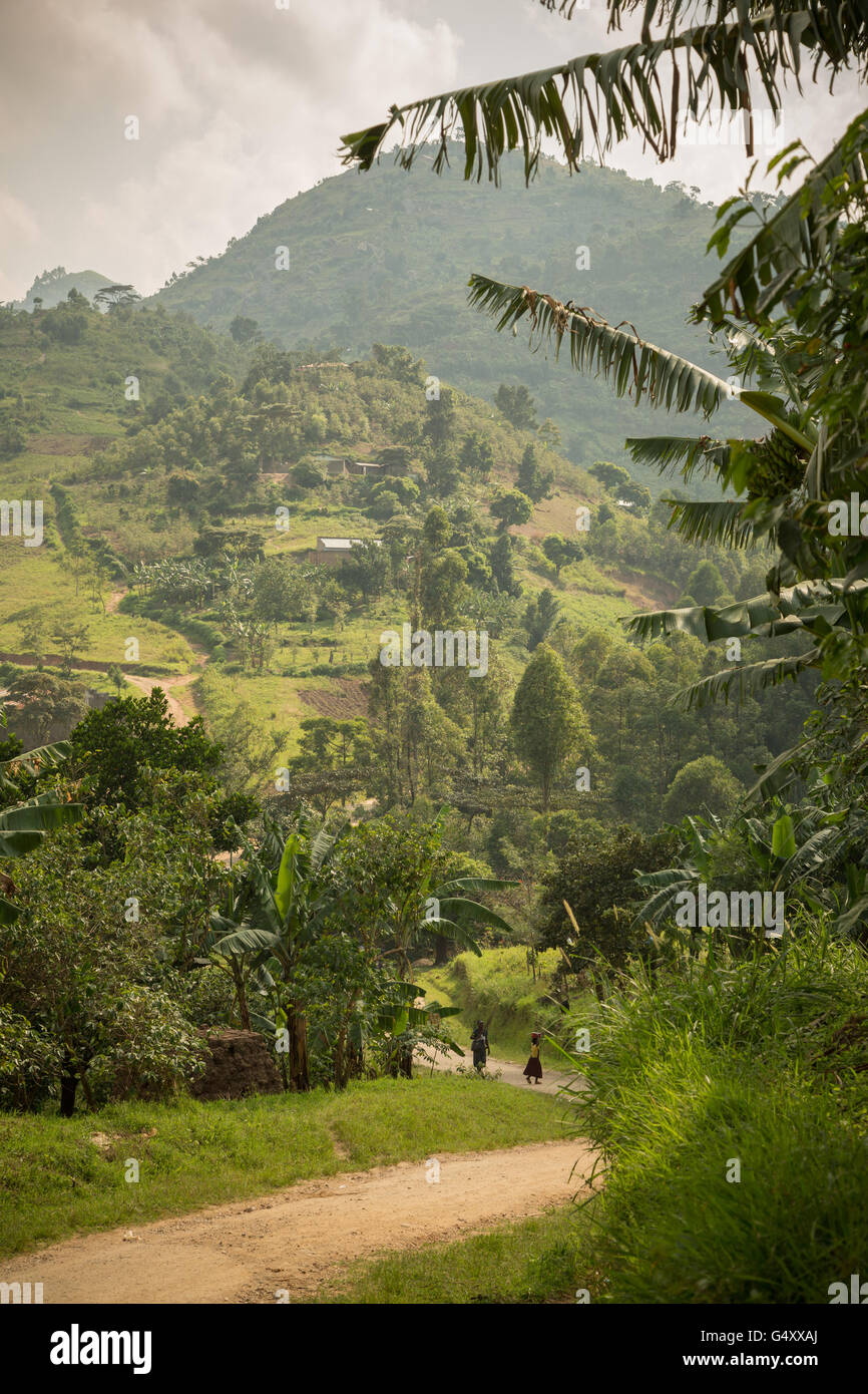Rwenzori mountains hi-res stock photography and images - Alamy