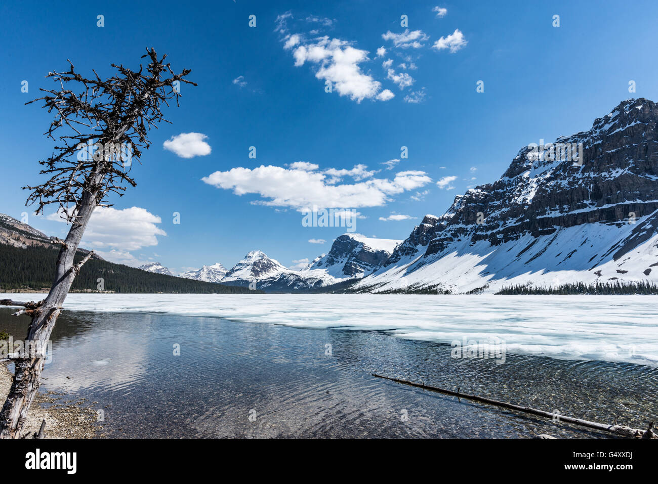 Canada, Alberta, Banff National Park, crystal clear mountain lake Stock ...