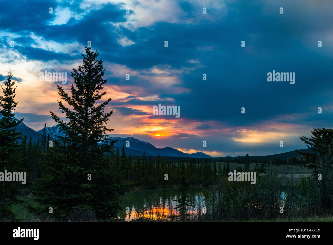 Jasper night sky hi-res stock photography and images - Alamy
