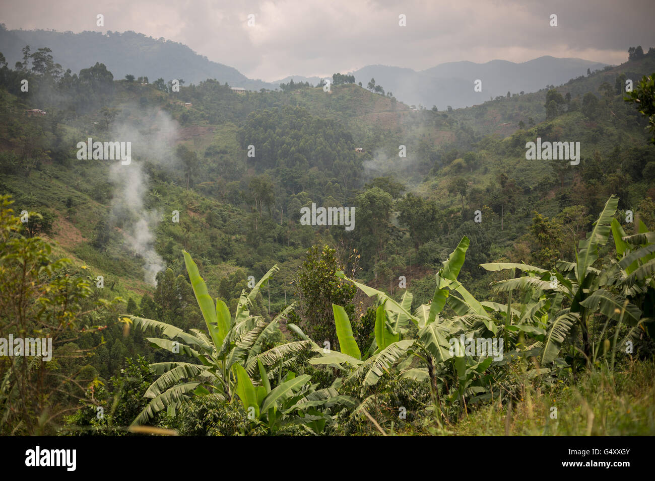 The beautiful Rwenzori mountains are seen from Kasese District, Uganda ...