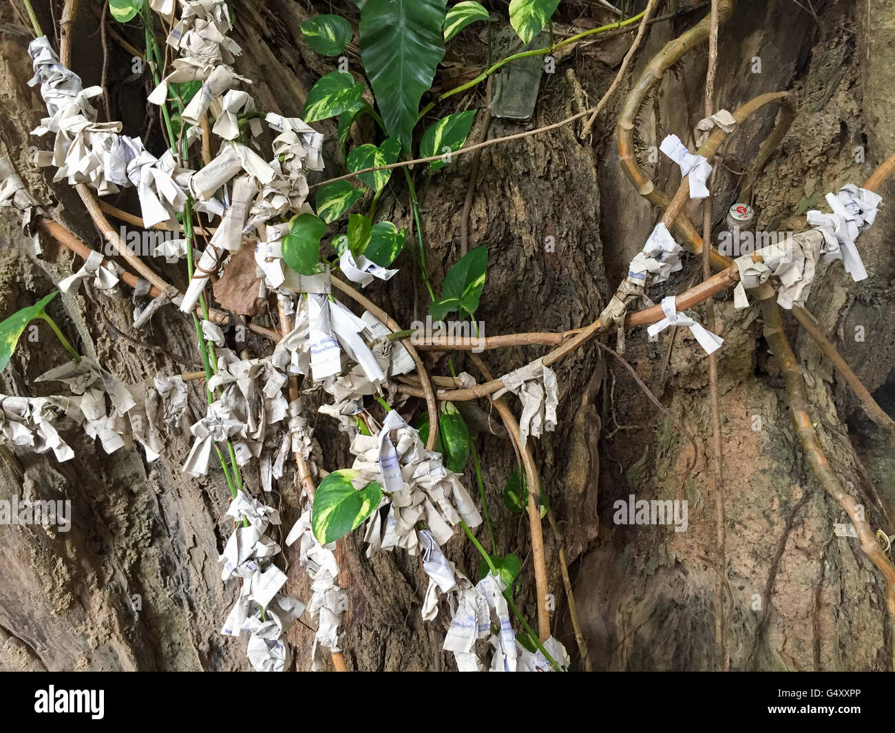 Folded paper bark hi-res stock photography and images - Alamy
