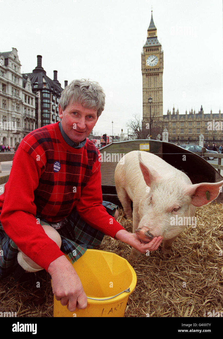 Pig farmer william marwick of cowfords farm hi-res stock photography ...