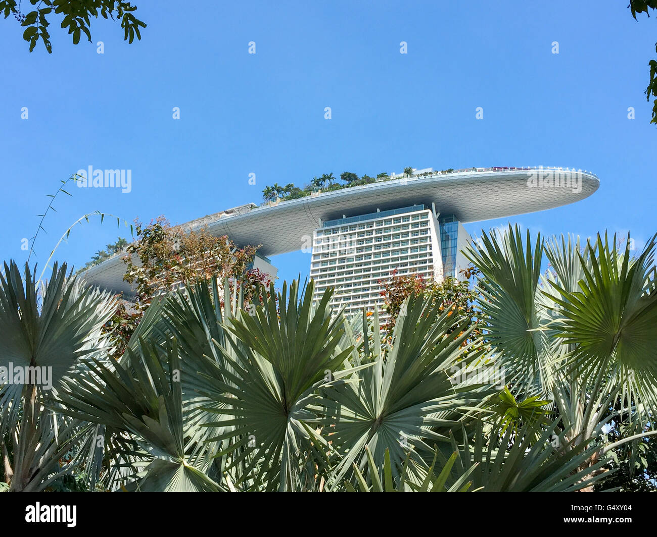 Marina bay sands singapore pool sunny hi-res stock photography and ...