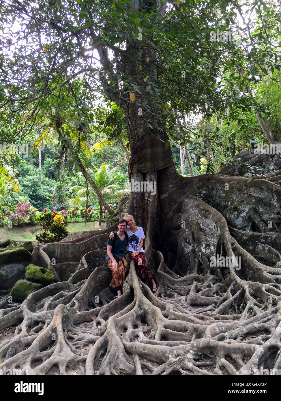 Indonesia, Bali, Gianyar, Couple sitting on roots of a sacred tree in ...