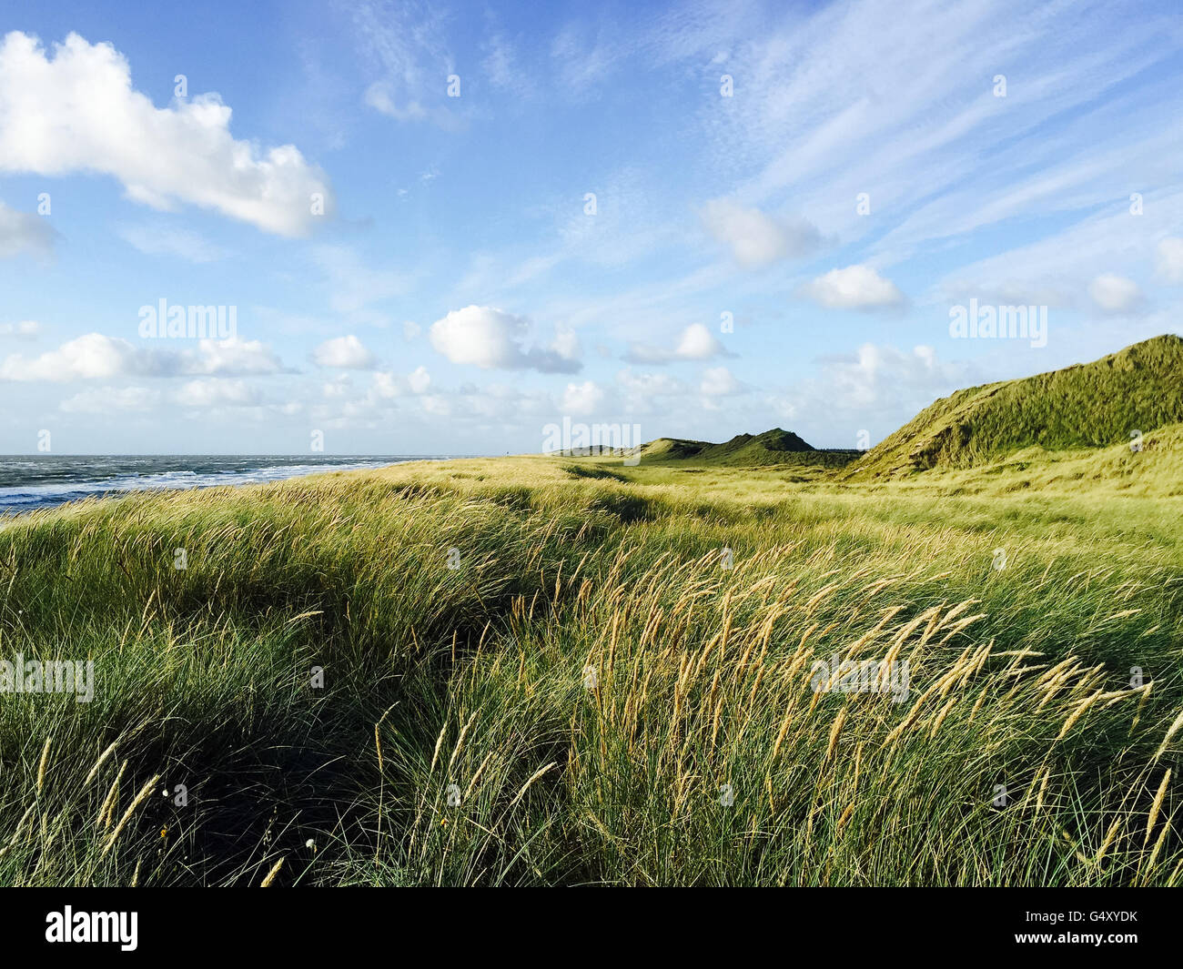 Germany, Schleswig-Holstein, Sylt, nature reserve Rantum Stock Photo ...