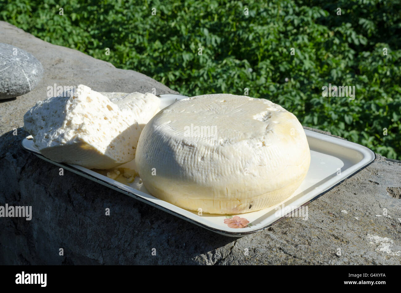 Georgia, Mzcheta-Mtianeti, Stepanzminda, Gergeti, homemade cheese dries ...