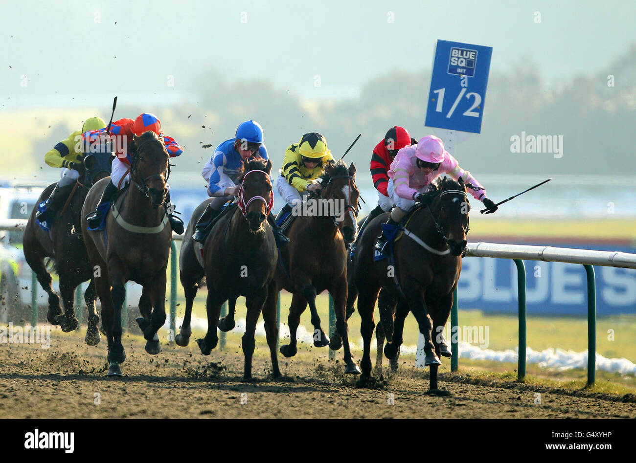 Horse Racing - Lingfield Racecourse Stock Photo - Alamy
