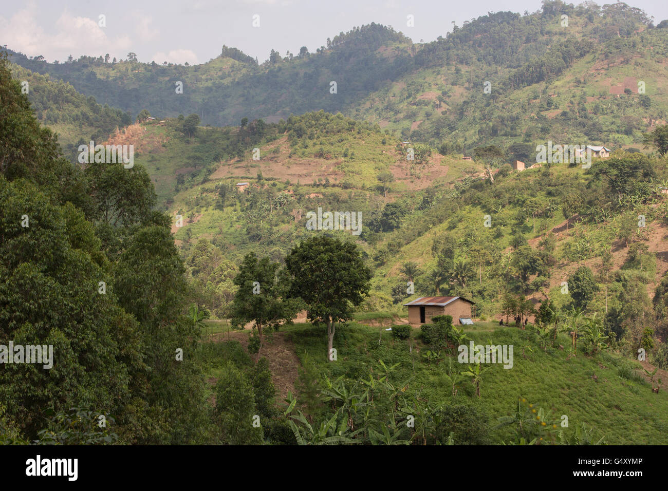 Rwenzori Mountains High Resolution Stock Photography and Images - Alamy