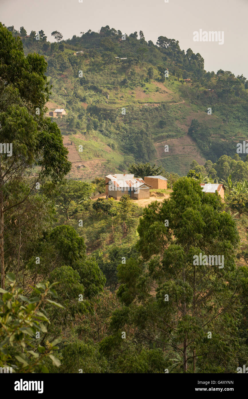 Beautiful rwenzori mountains seen from hi-res stock photography and ...