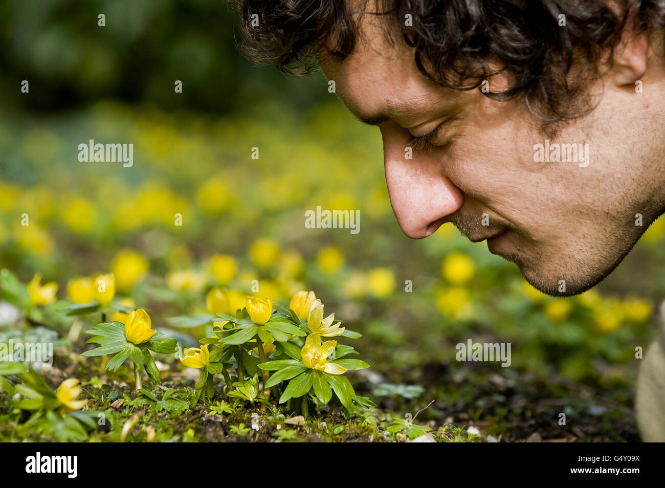 Plymouth count hi-res stock photography and images - Alamy