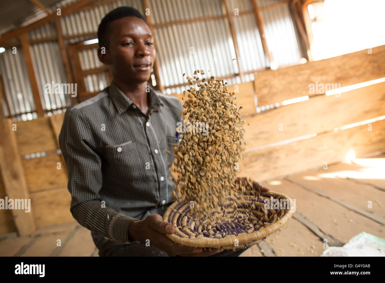 Winnowing and sorting hi-res stock photography and images - Alamy