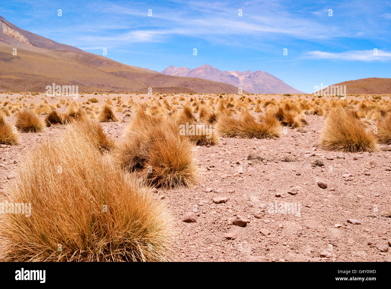 Bolivia, Bolivian salt desert Uyuni, desert landscape in Bolivia Stock ...