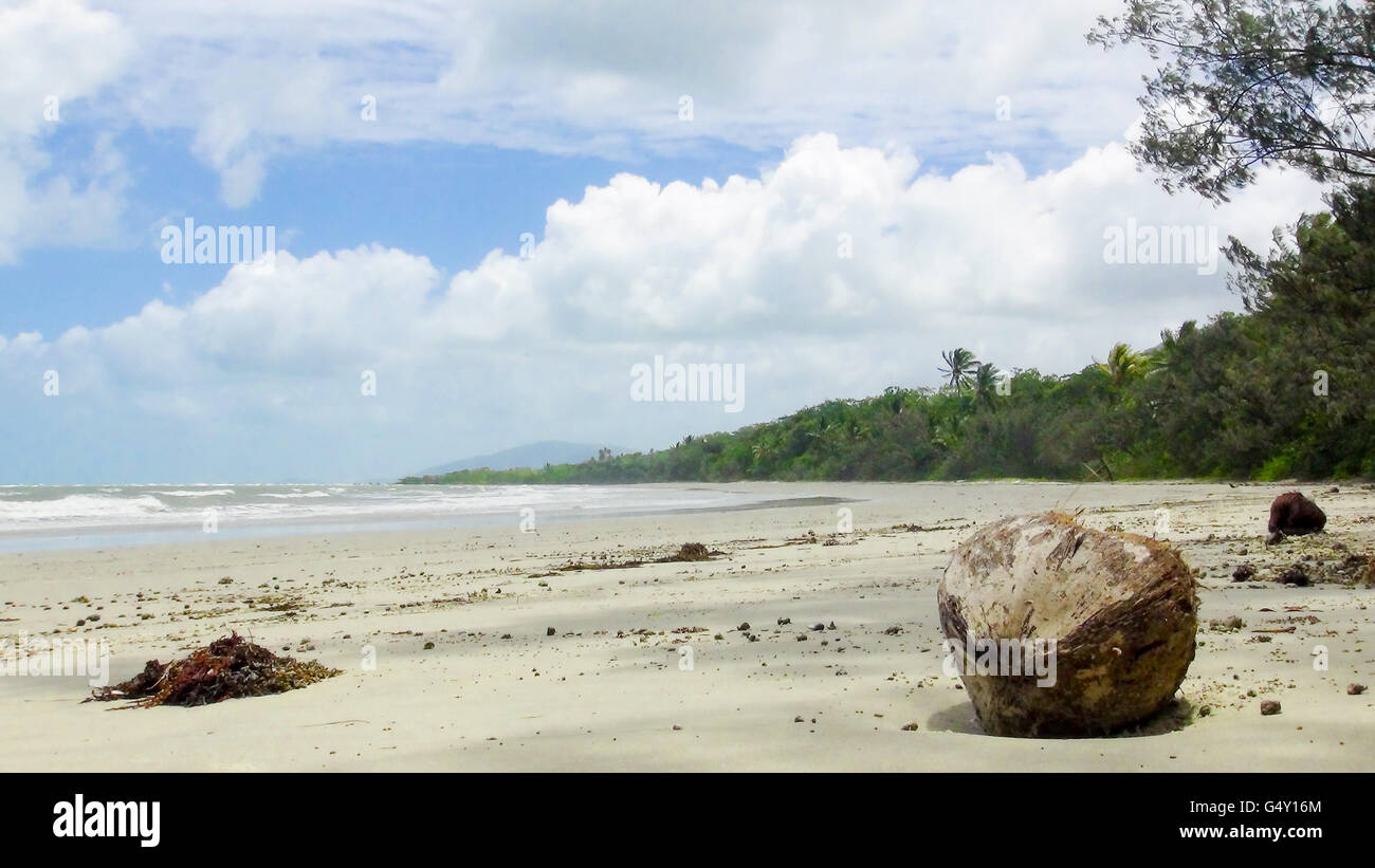 Australia, Daintree National Park, Daintree Rainforest, Cape ...