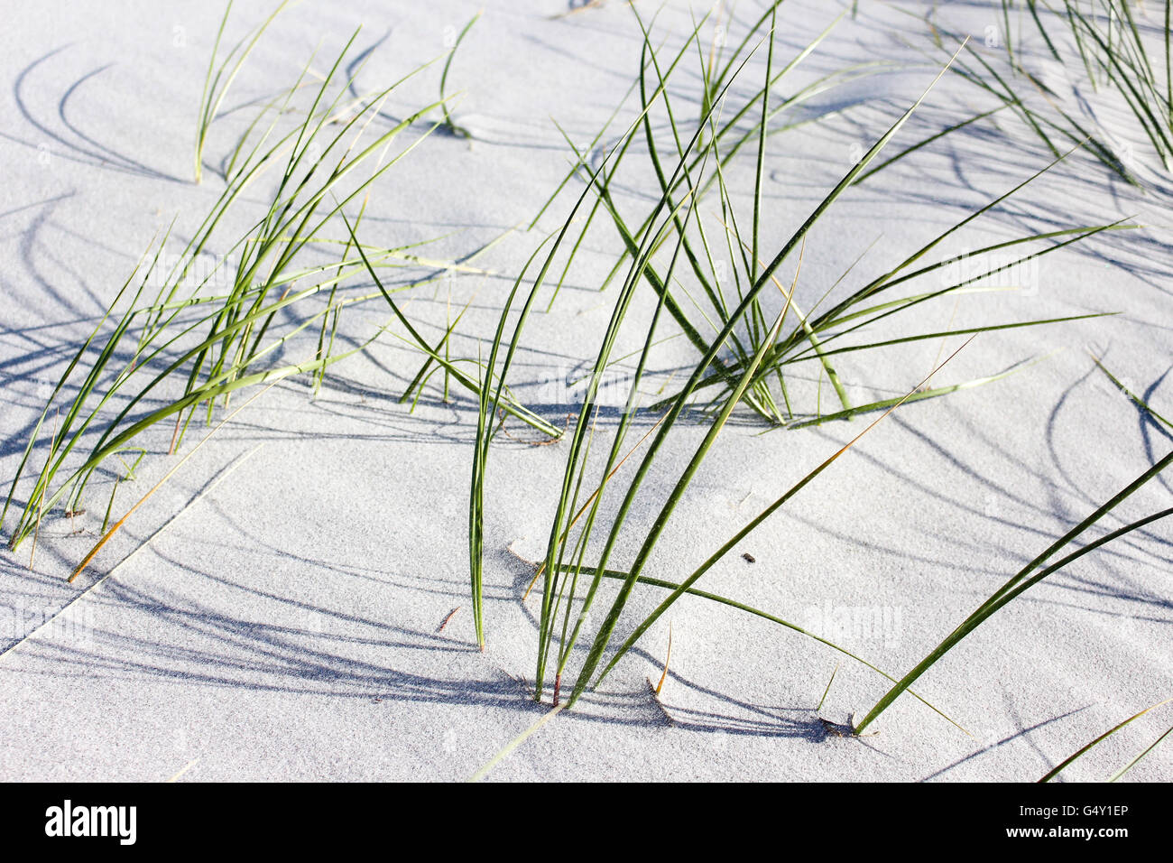 Denison beach hi-res stock photography and images - Alamy