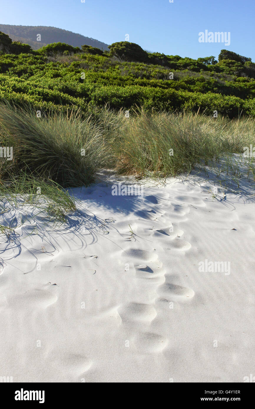 Denison Beach High Resolution Stock Photography and Images - Alamy