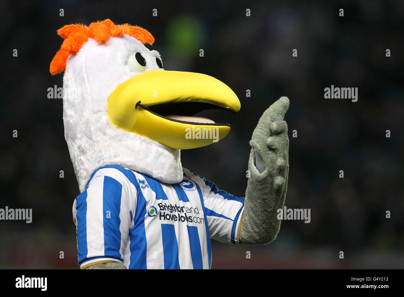 Brighton football mascot hi-res stock photography and images - Alamy