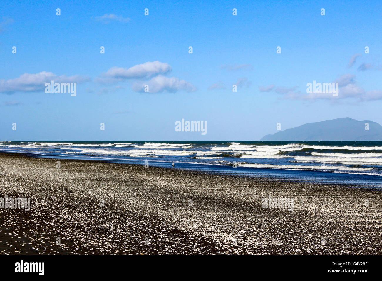 New Zealand, North Island, Manawatu-Wanganui, Waitarere Beach, East ...