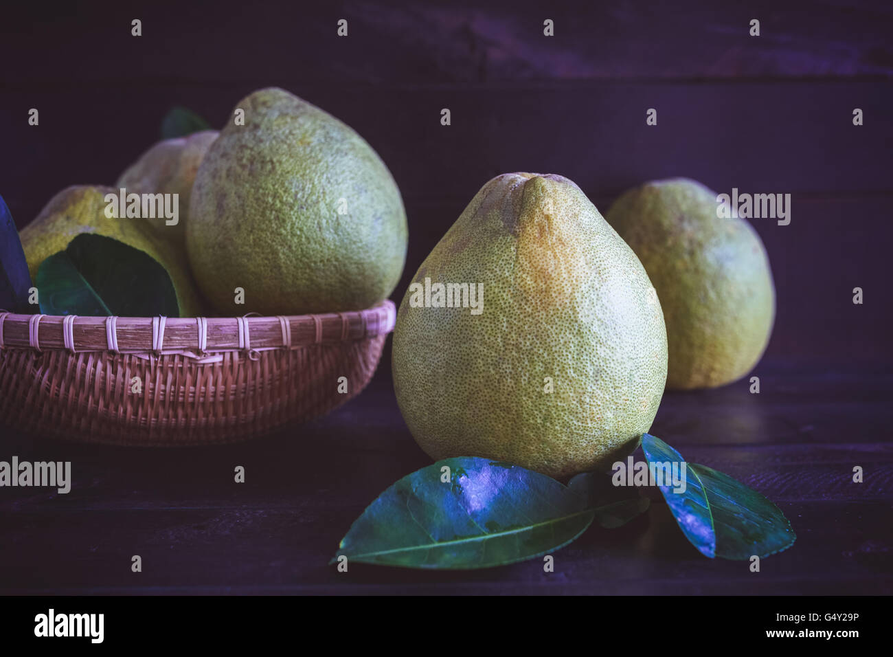 Grapefruit farm hi-res stock photography and images - Alamy