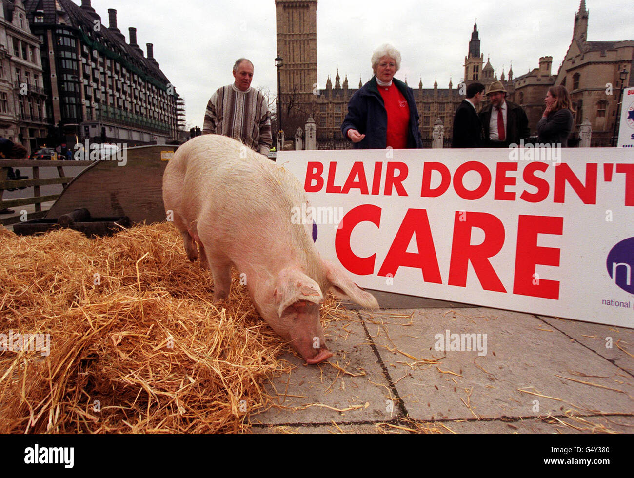 Pig farmers outside the House of Commons in London, protesting against ...