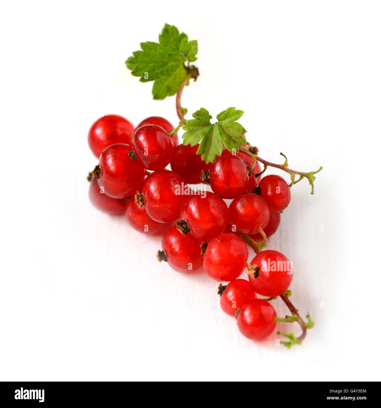 Picked season Cut Out Stock Images & Pictures - Alamy