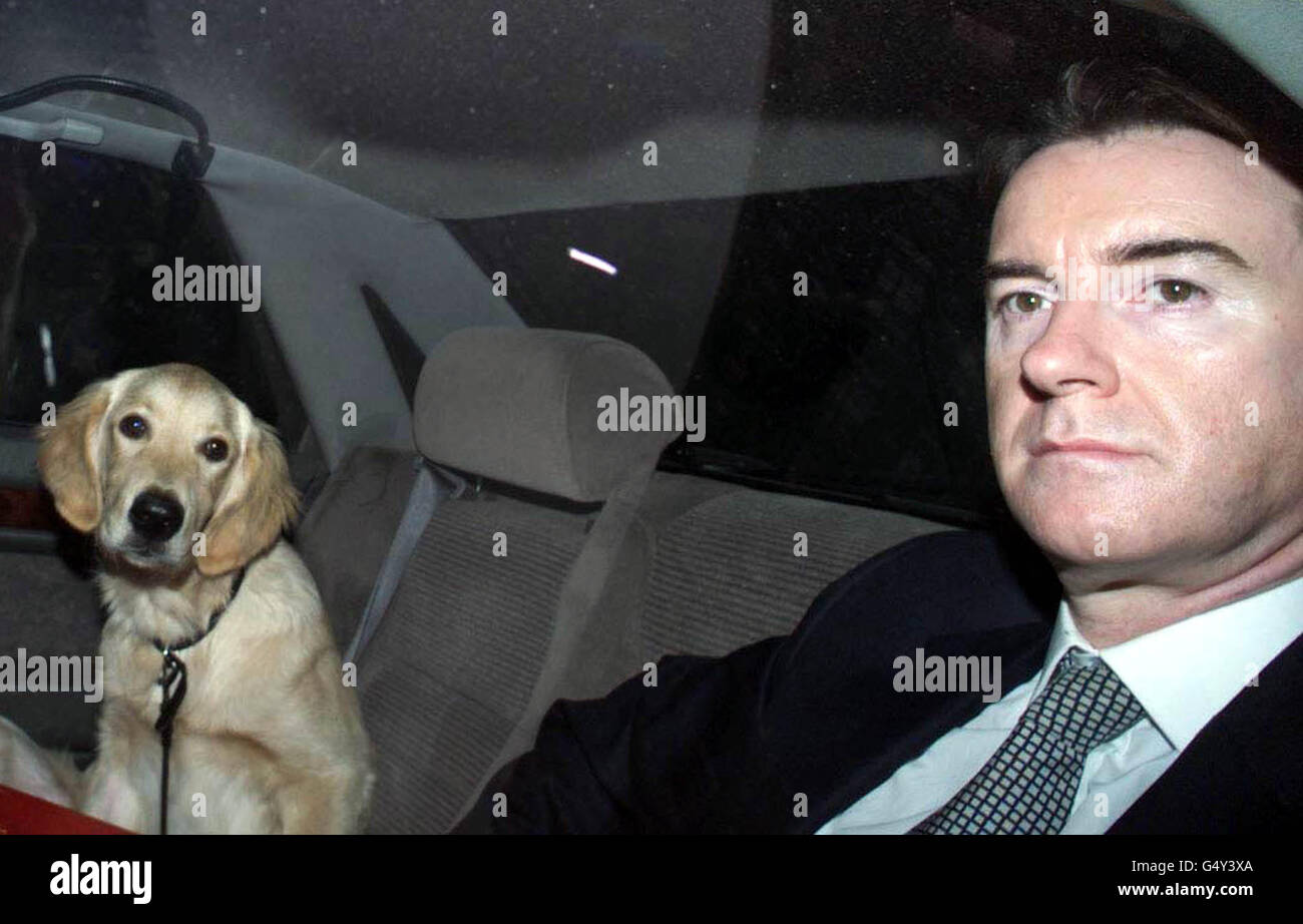 Dog politics peter mandelson hi-res stock photography and images - Alamy