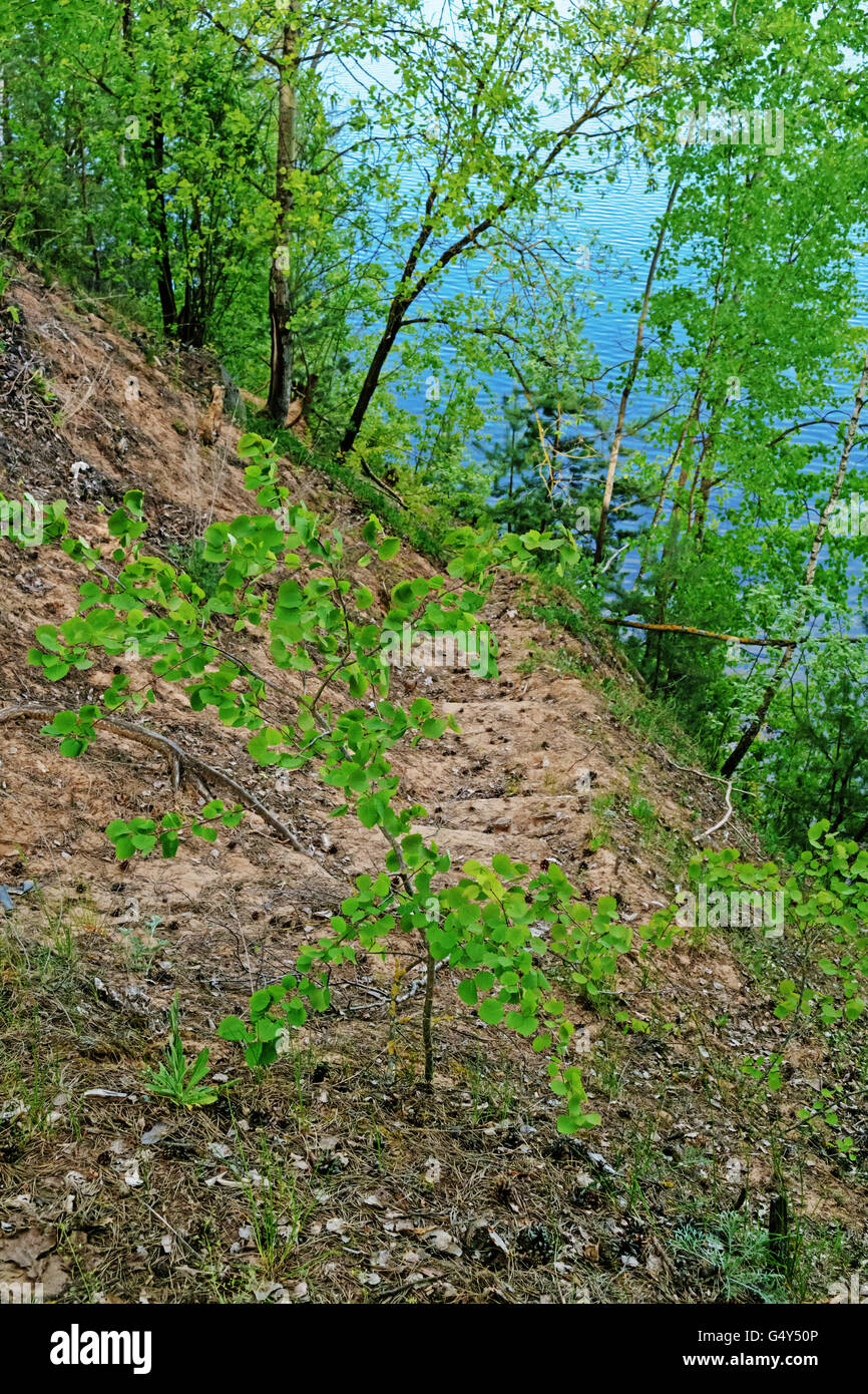 Sand path to lake Stock Photo - Alamy