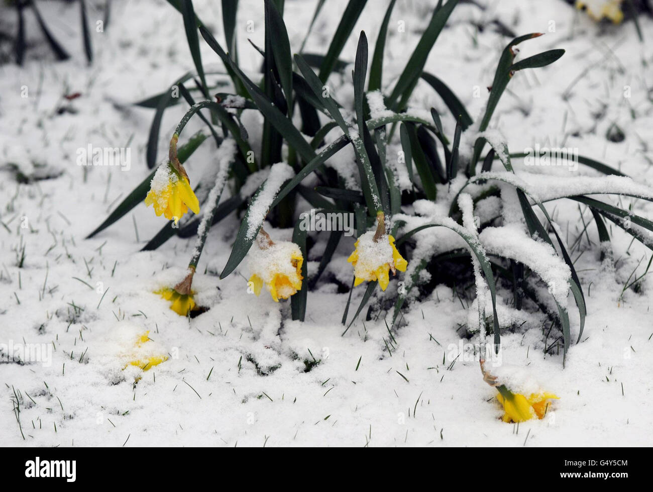 Ripon uk in winter hi-res stock photography and images - Alamy