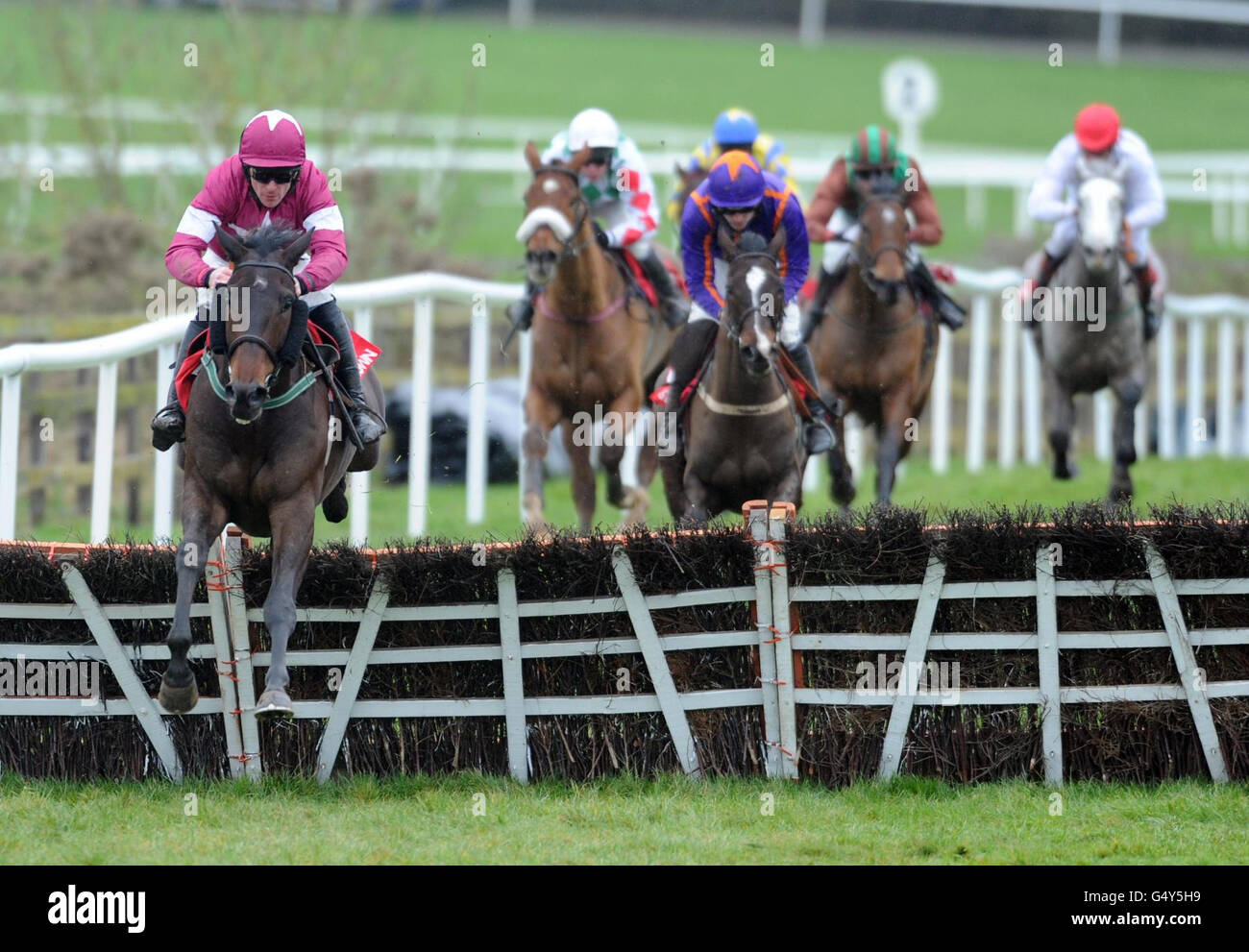 Moscow flyer horse hi-res stock photography and images - Alamy