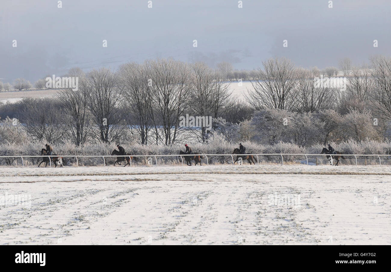 Horse Racing - Gallops at Malton. Race horses are exercised on the ...