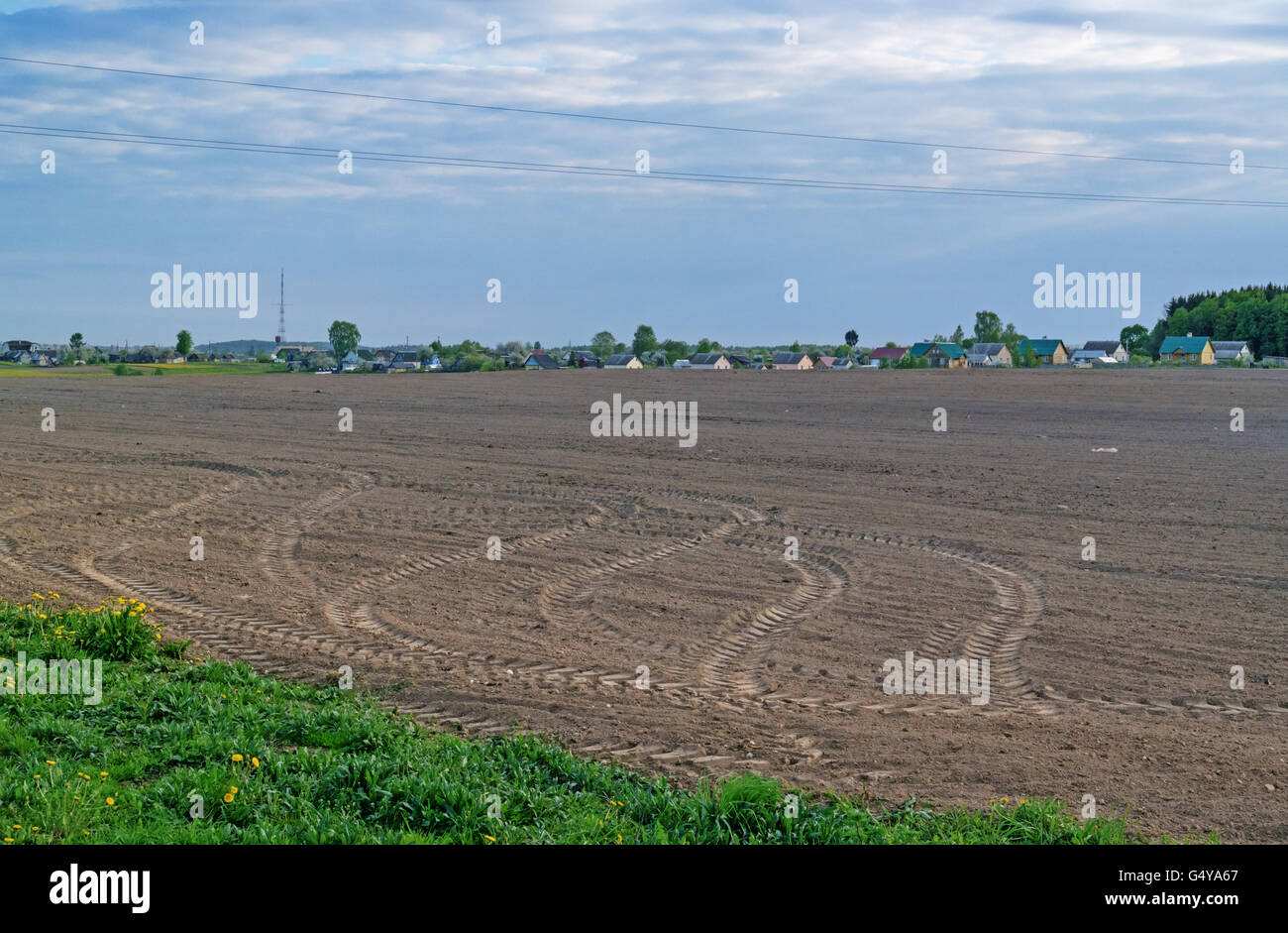 Rest harrow sand hi-res stock photography and images - Alamy