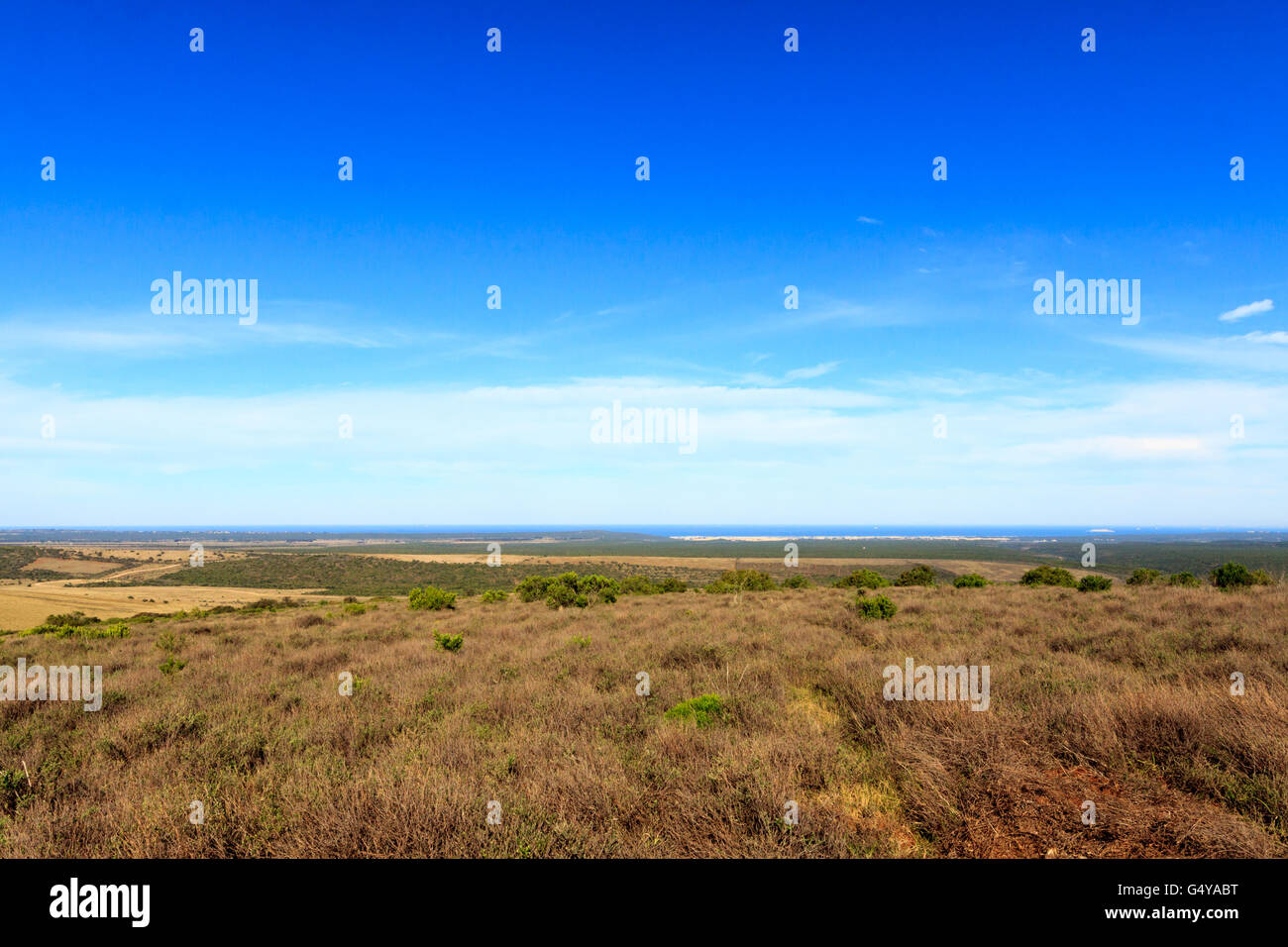 New Addo Look Out - Beautiful - Addo is a town in Sarah Baartman ...