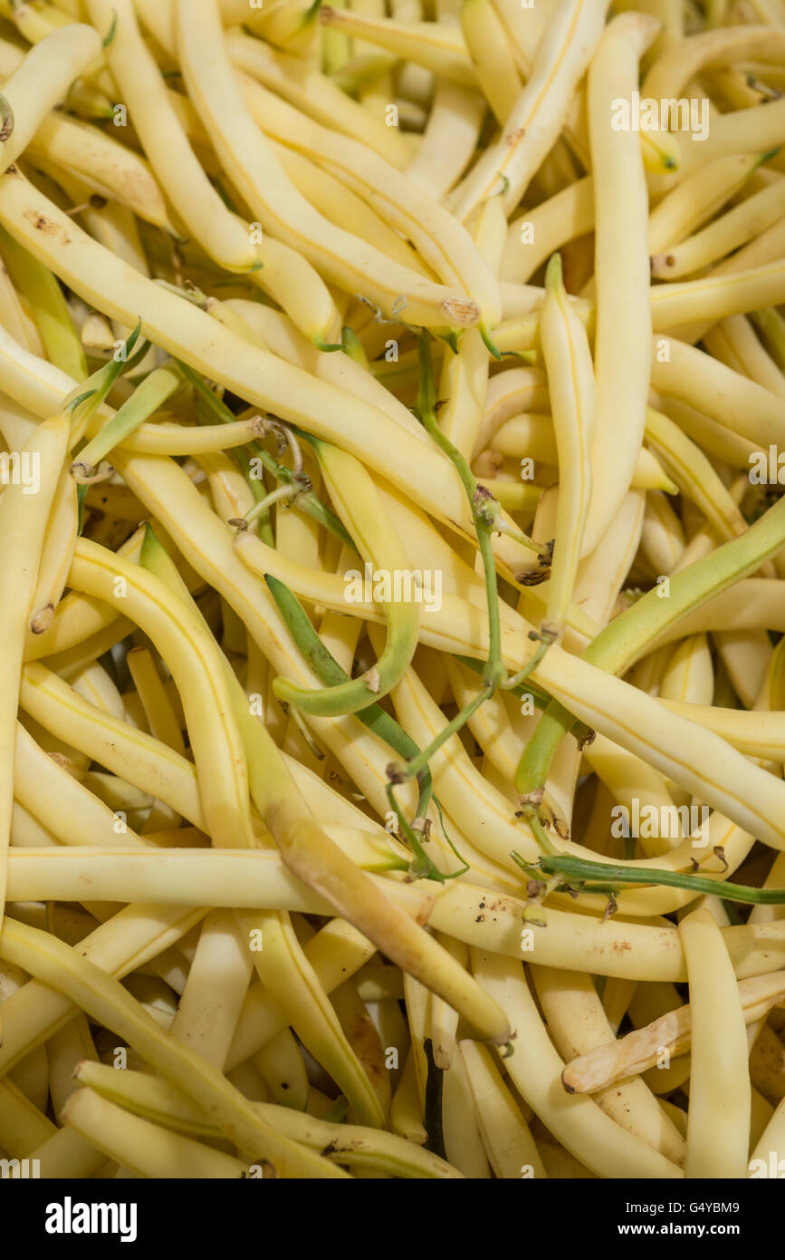 Snap beans hi-res stock photography and images - Alamy