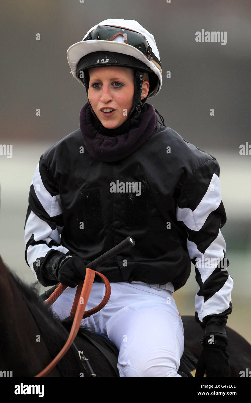 Amy ryan hi-res stock photography and images - Alamy