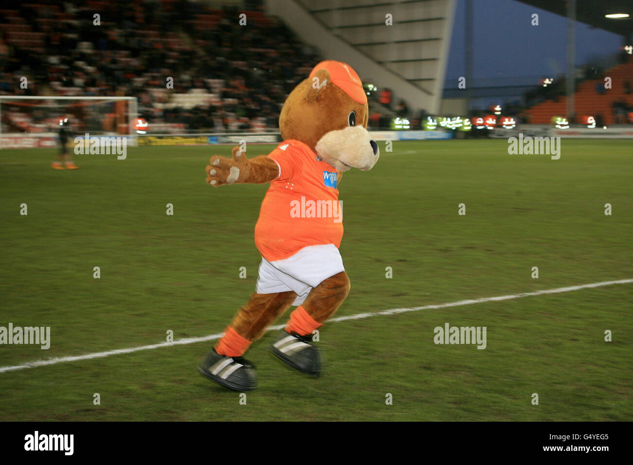 Blackpool mascot hi-res stock photography and images - Alamy