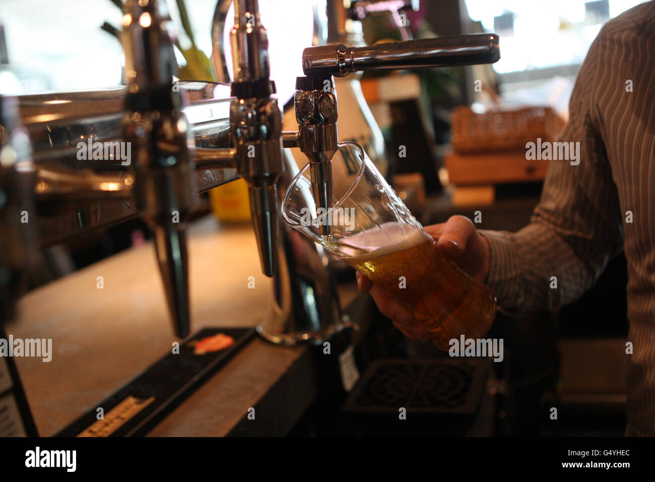 A bar person pouring a pint of Lager Stock Photo - Alamy