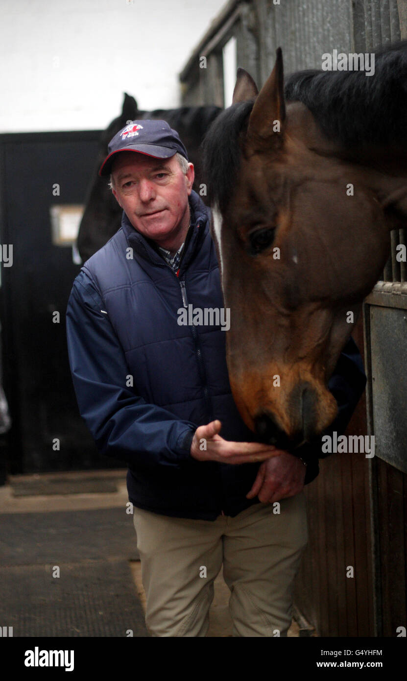 John whitaker equestrian hi-res stock photography and images - Alamy