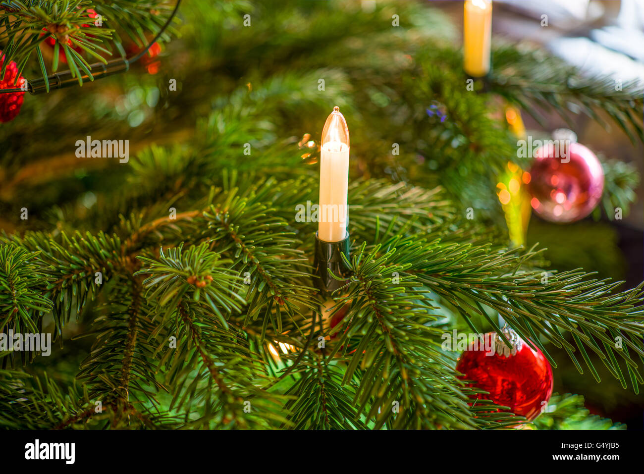Electrical candle on a Christmas tree Stock Photo - Alamy