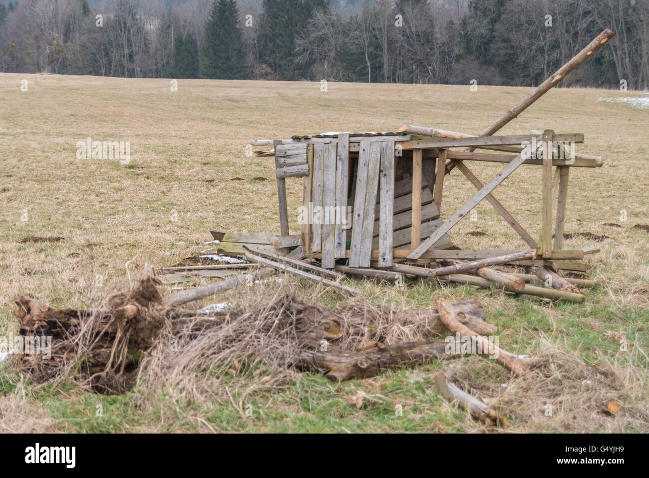 Destroyed raised hide on a meadow in the winter Stock Photo - Alamy