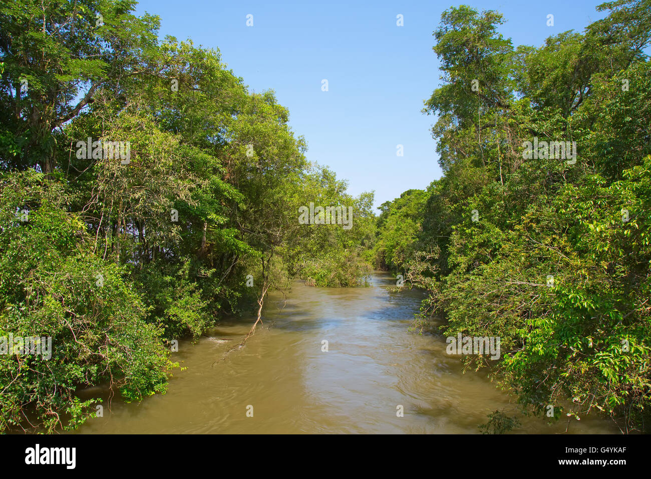 Parana river. The border between Argentina and Brazil Stock Photo - Alamy