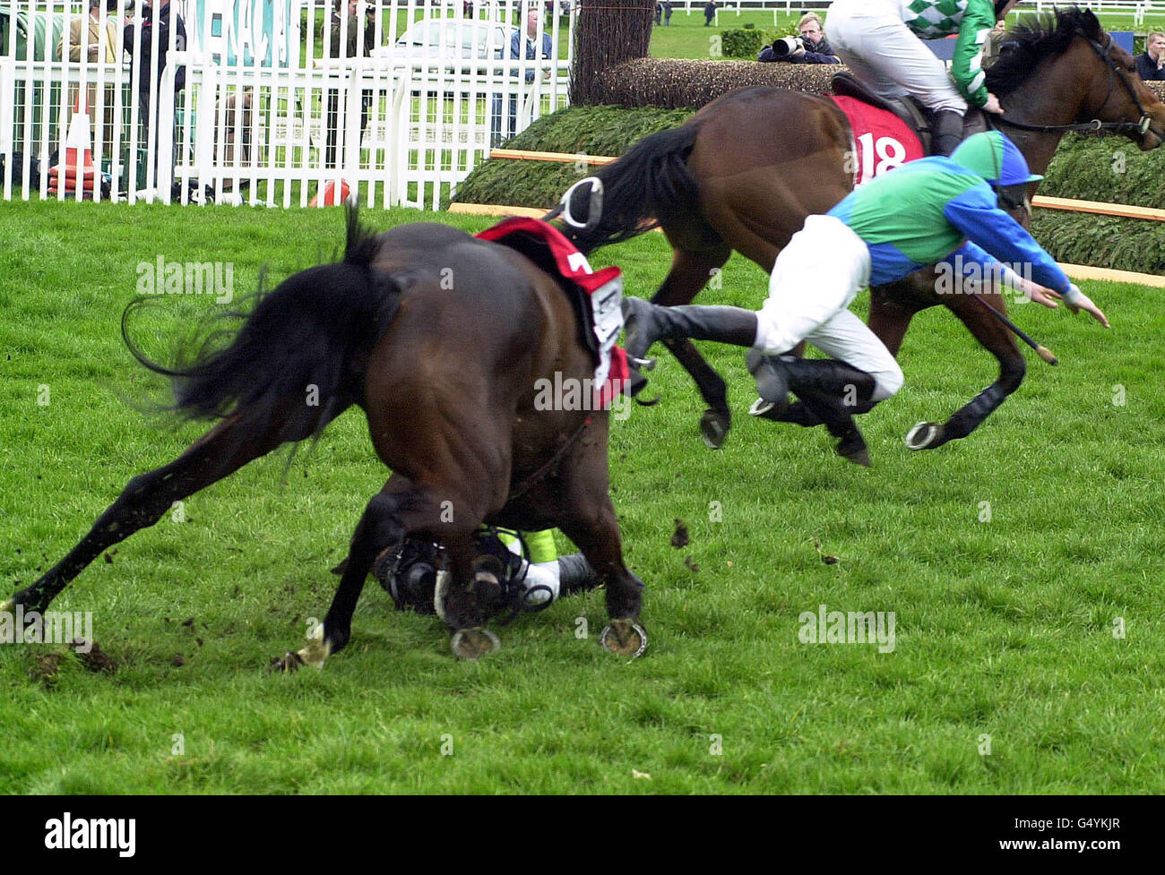 Chelt Estacado. Estacado sheds his jockey Aaron Bates during the Elite ...