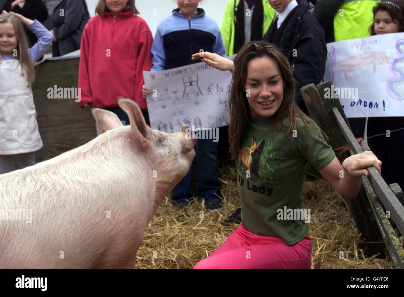 Tara & Pig Stock Photo - Alamy