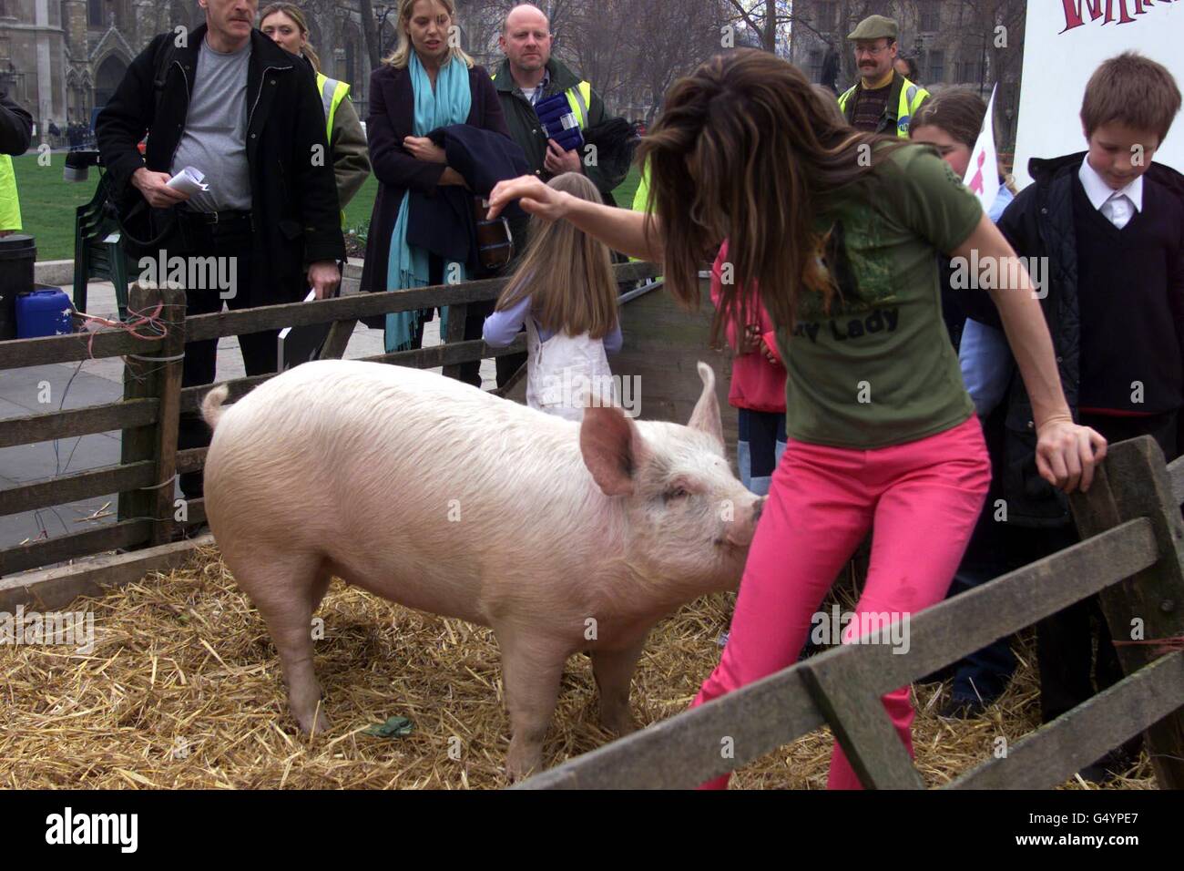 Tara palmer tomkinson gets a surprise nibble from winnie the pig hi-res ...