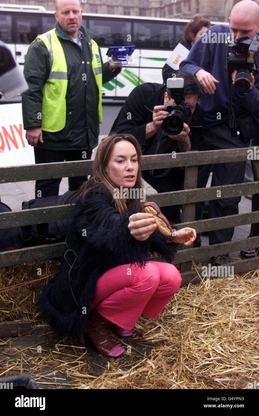 Tara Palmer-Tomkinson tries to tempt Winnie the Pig with food in the ...